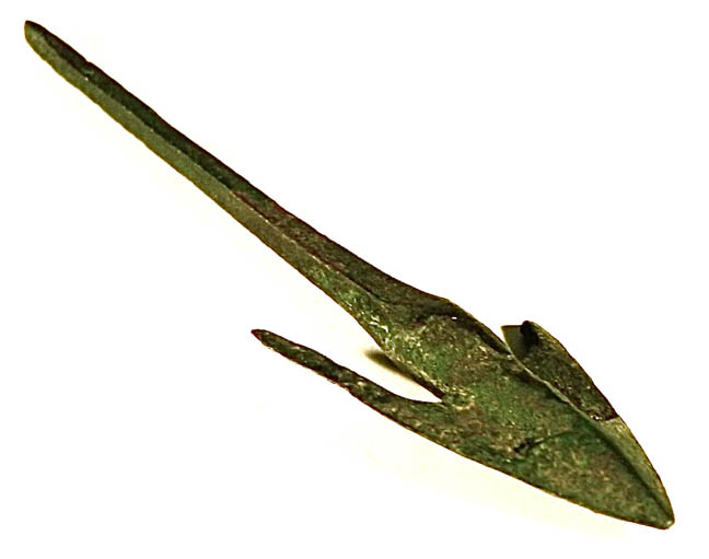 Busacca Gallery View