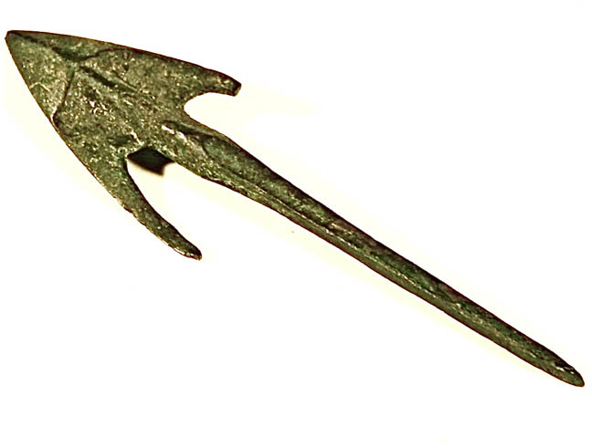 Busacca Gallery View