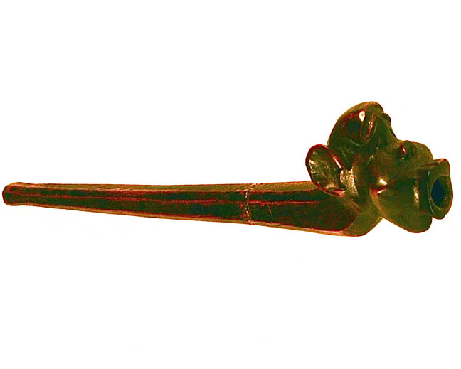 Busacca Gallery View