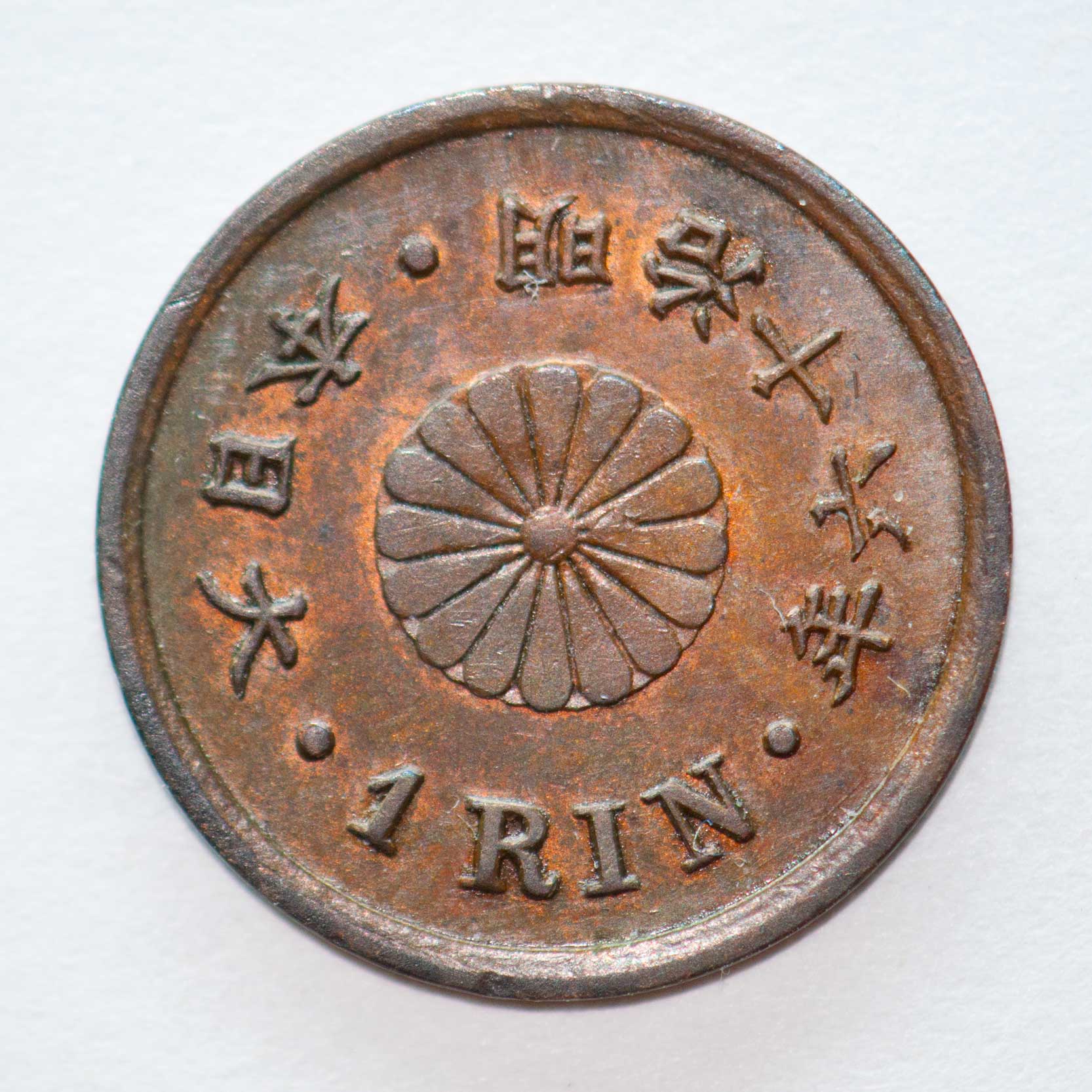 Busacca Gallery View